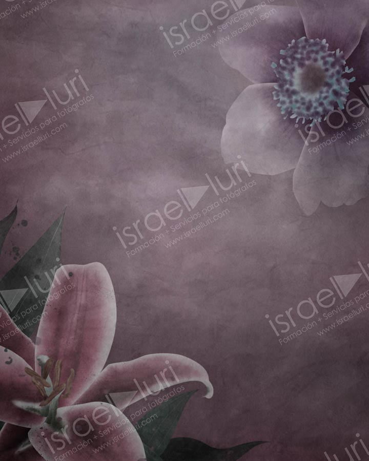 Set 08 Texturas FineArt II (Florales) - Israel Luri Formación